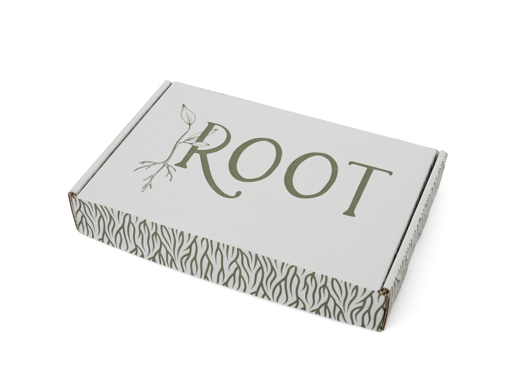 Root Box | Faith and Family Life Catholic Ministries